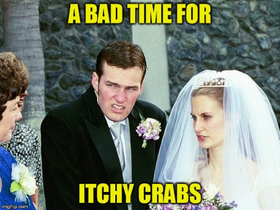 25 Wedding Memes You'll Find Funny - SayingImages.com