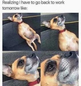 25 Back To Work Memes to Make You Feel Extra Enthusiastic ...