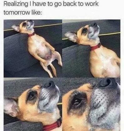 25 Back To Work Memes to Make You Feel Extra Enthusiastic ...