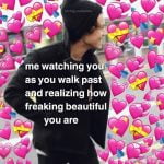 20 Cute And Adorable Uwu Memes - SayingImages.com