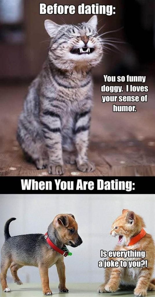 35 Dating Memes That Are Absolutely True - SayingImages.com