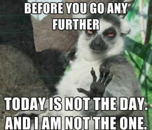 20 Not Today Memes You'll Find Handy - SayingImages.com