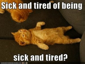 40 Hilarious Memes About Being Sick - SayingImages.com