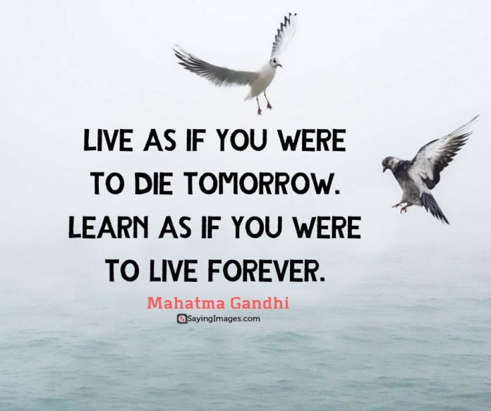 Best Quotes Ever The World Best Quotations best-quotes-ever-the-world-best-quotations