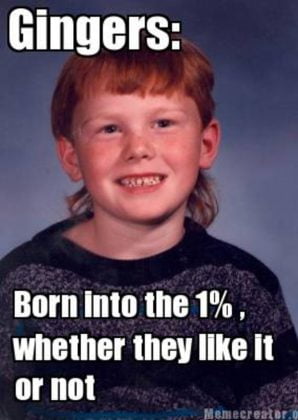 30 Ginger Memes That Are Way Too Witty - SayingImages.com