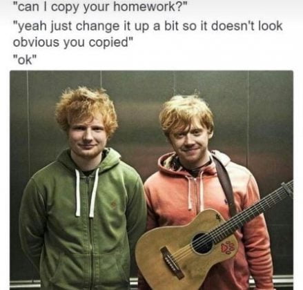 20 Ed Sheeran Memes With Cat - SayingImages.com