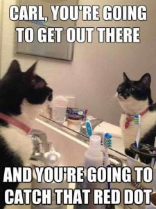 20 Encouragement Memes to Lift Your Spirits - SayingImages.com