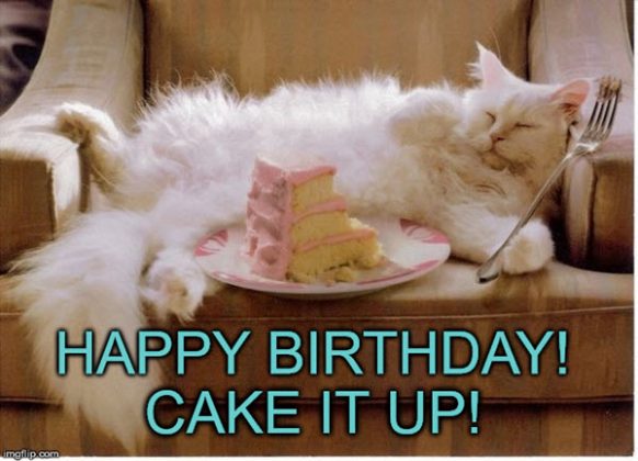 35 Cat Birthday Memes That Are Way Too Adorable - SayingImages.com