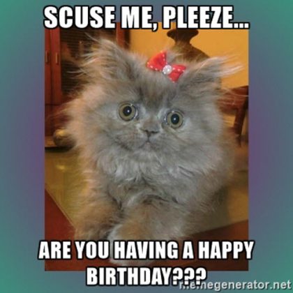 35 Cat Birthday Memes That Are Way Too Adorable - SayingImages.com