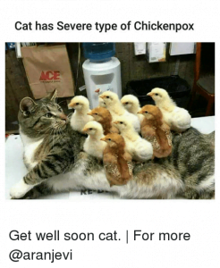 40 Funny Get Well Soon Memes To Cheer Up Your Dear One - SayingImages.com