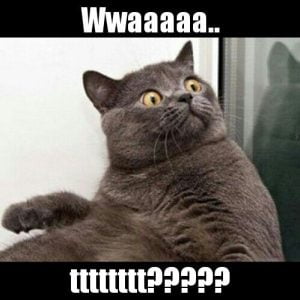 20 Surprised Memes to Give You Unexpected Happiness - SayingImages.com