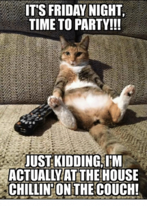 20 Friday Night Memes to End Your Hard Week on a High Note ...
