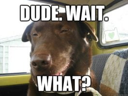 20 Wait What Memes For When You Ran Out of Words to Say - SayingImages.com