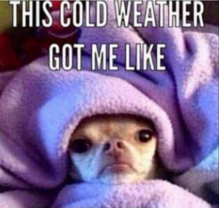 20 Cold Weather Memes That Perfectly Sum Up All The Winter Feels ...