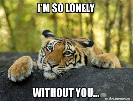 30 Lonely Memes to Make You Feel Less Alone - SayingImages.com