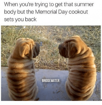 25 Hot And Hilarious Summer Body Meme - SayingImages.com