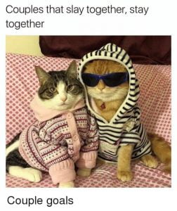 40 Couple Memes That Are Too Funny For Words - SayingImages.com
