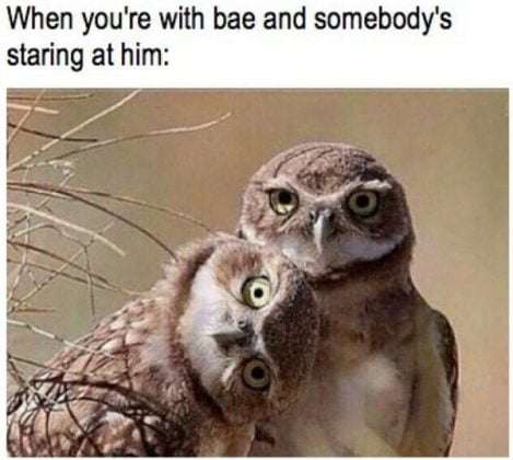 40 Couple Memes That Are Too Funny For Words - SayingImages.com