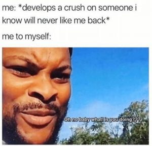 40 Funny Crush Memes You Probably Know Too Well - SayingImages.com