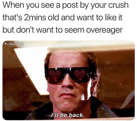 40 Funny Crush Memes You Probably Know Too Well - SayingImages.com