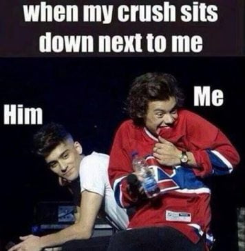 40 Funny Crush Memes You Probably Know Too Well - SayingImages.com