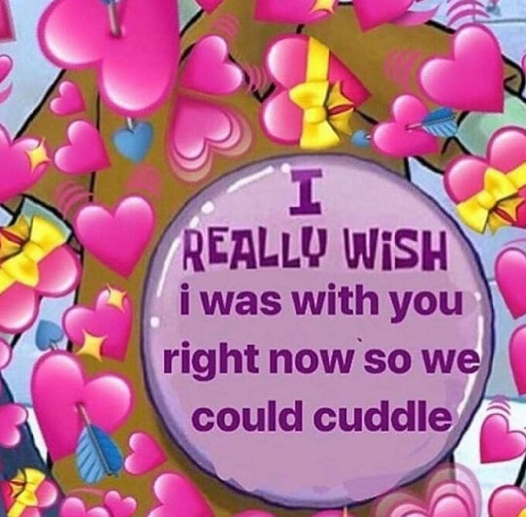 20 Cute And Adorable Uwu Memes - SayingImages.com