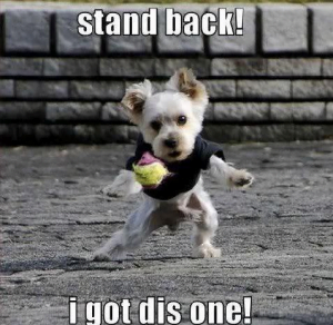 20 I Got This Memes For When You Are Feeling Extra Confident ...