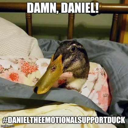 20 Totally Adorable Duck Memes You Won't Be Able To Resist ...