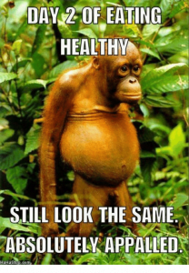 20 Funny Life Changing Eating Healthy Memes - SayingImages.com