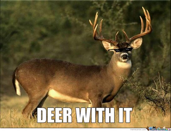 The 20 Best Deer Hunting Memes (So Far) - SayingImages.com
