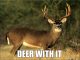 The 20 Best Deer Hunting Memes (So Far) - SayingImages.com
