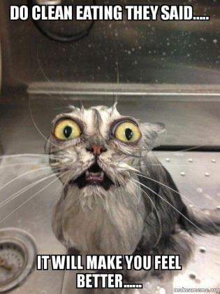 20 Laughable Memes To Make Anyone Feel Better About Life - SayingImages.com