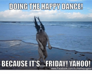 40 Happy Dance Memes to Put a Smile on Your Face - SayingImages.com