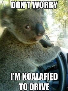 20 Most Hilarious Driving Memes - SayingImages.com