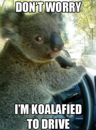 20 Most Hilarious Driving Memes - SayingImages.com