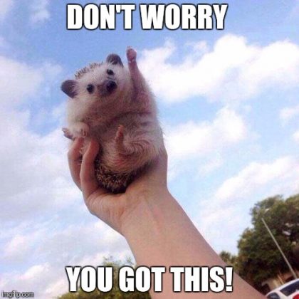 30 Great Motivational Memes To Inspire You - SayingImages.com