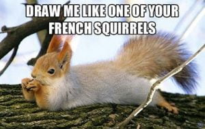 20 Squirrel Memes That Will Melt Your Heart - SayingImages.com