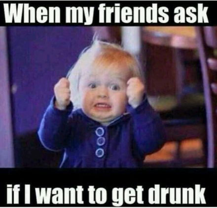 45 Funny Drinking Memes You Should Start Sharing Today - SayingImages.com