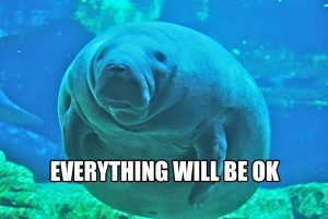 20 Encouragement Memes to Lift Your Spirits - SayingImages.com