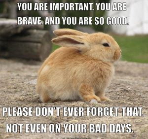20 Encouragement Memes to Lift Your Spirits - SayingImages.com
