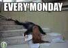 100 Funny Monday Memes To Start Your Week Right - SayingImages.com