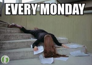 100 Funny Monday Memes To Start Your Week Right - SayingImages.com