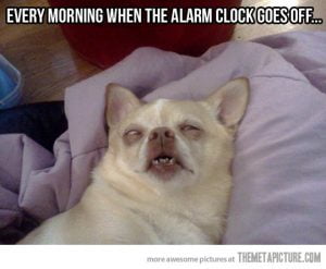 25 Funny Morning Memes That Are A Little Too Accurate - SayingImages.com