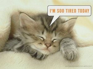 25 Exhausted Memes You'll Find Way Too Funny - SayingImages.com