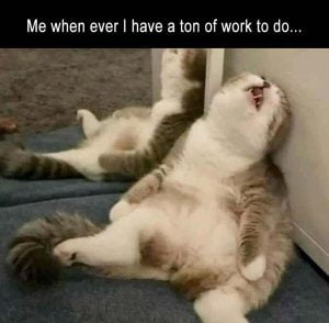25 Exhausted Memes You'll Find Way Too Funny - SayingImages.com