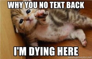 20 Relatable No Text Back Memes to Make You Feel a Lot Better ...