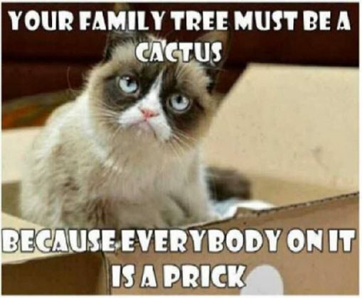 30 Hilarious Family Memes You'll Relate To - SayingImages.com