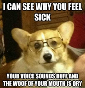 40 Hilarious Memes About Being Sick - SayingImages.com