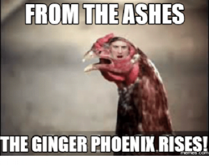 30 Ginger Memes That Are Way Too Witty - SayingImages.com