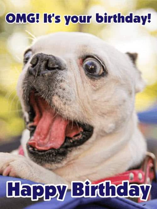120 Outrageously Hilarious Birthday Memes SayingImages